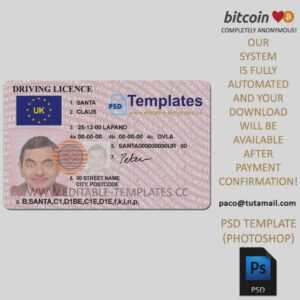 Editable Passport Templates | Passport Template In 2019 with Florida Id ...