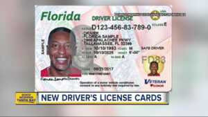 Check Out Florida's New Driver's Licenses And Id Cards for Florida Id ...