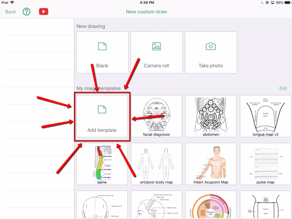 Draw Templates – Help Center regarding Blank Body Map Template ...