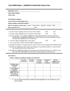 Trial Report Template – Atlantaauctionco.com