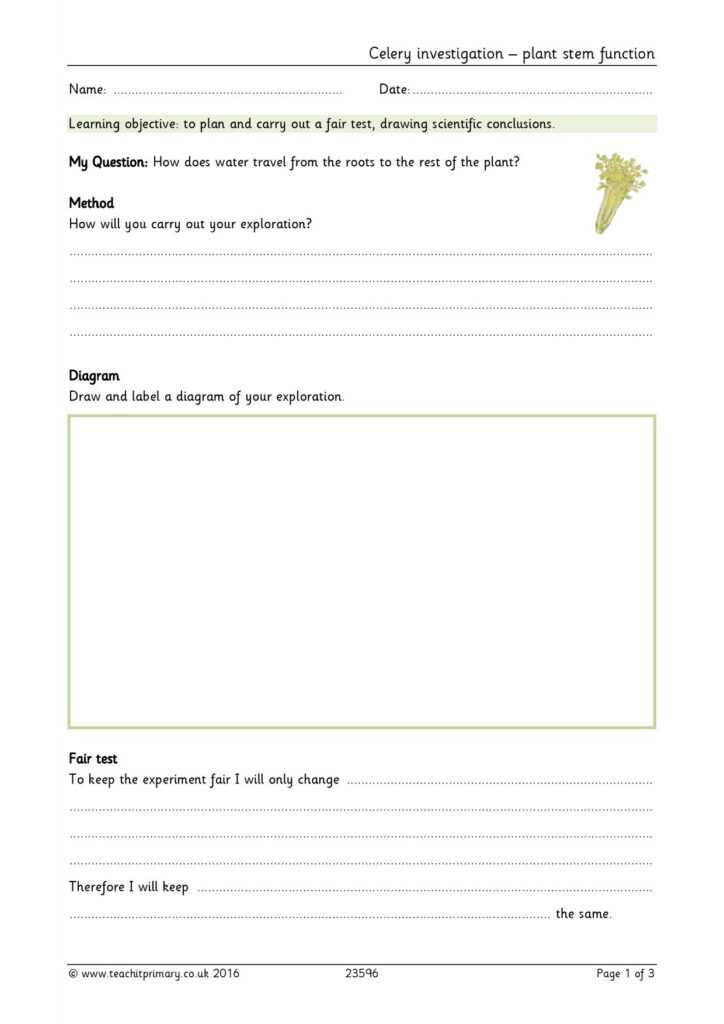 Eyfs | Ks1 | Ks2 | Investigations | Teachit Primary with regard to ...