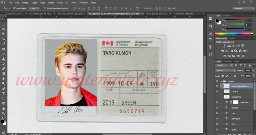 France Id Card Editable Psd Template (Photoshop Template regarding ...