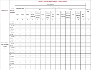 Pay Data Collection | Regulatory Transparency Project for Eeo 1 Report ...