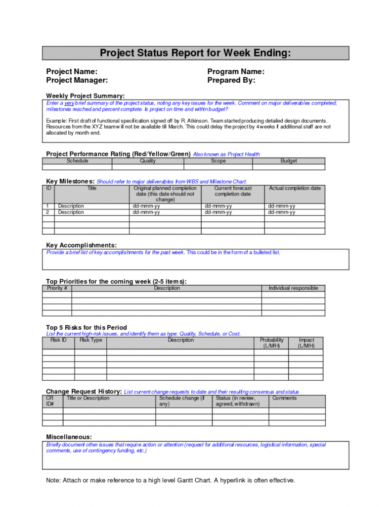 Project Management Report Template Audit Example Weekly with Project ...