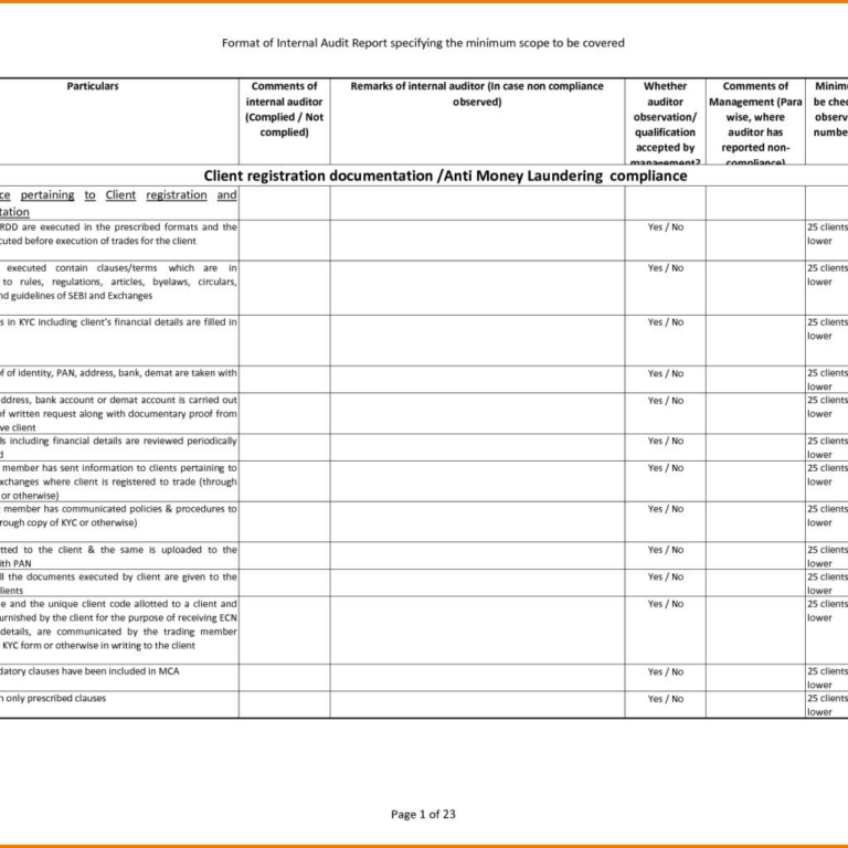 Report Hr Audit Spreadsheet In Example Internal Format With throughout ...