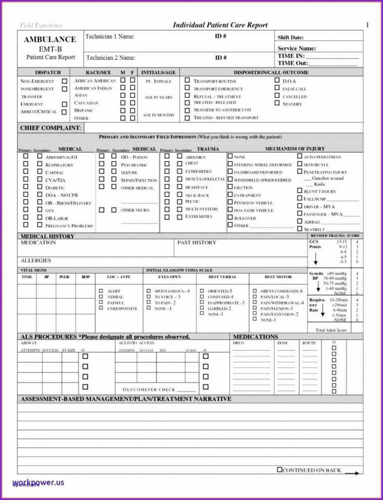 Report Sample Ems Nt Care Reports Template Example Of Emt regarding ...