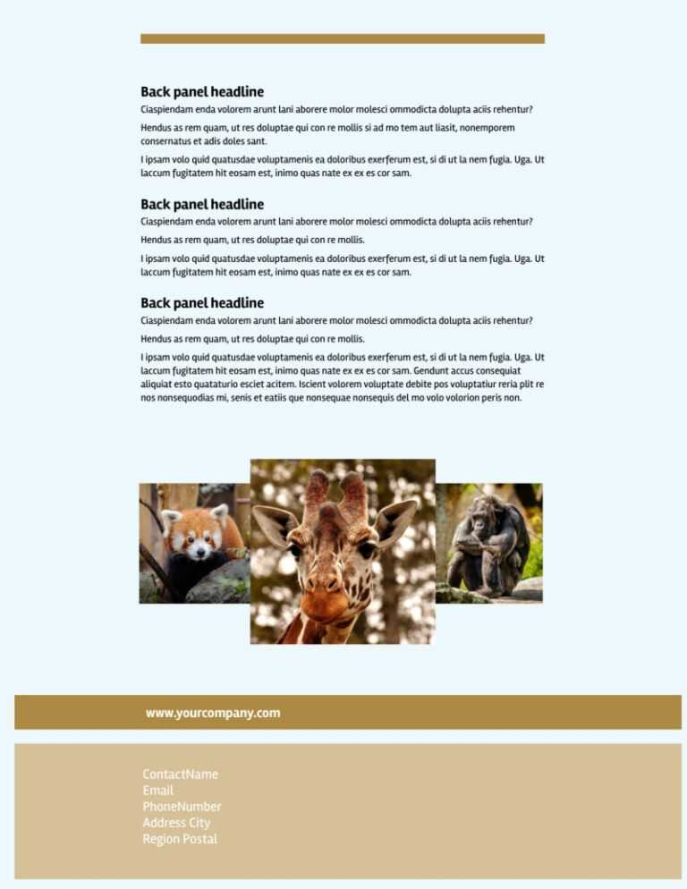 Zoo & Wild Animal Park Flyer Template throughout Zoo Brochure Template ...