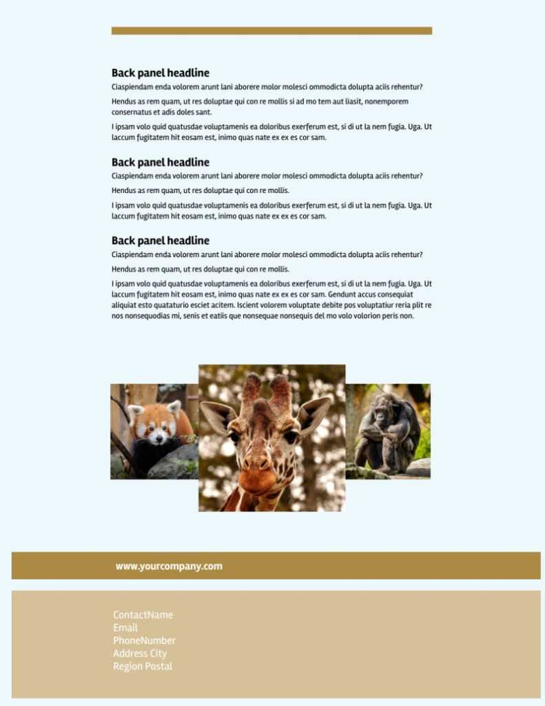 Zoo & Wild Animal Park Flyer Template Throughout Zoo Brochure Template ...